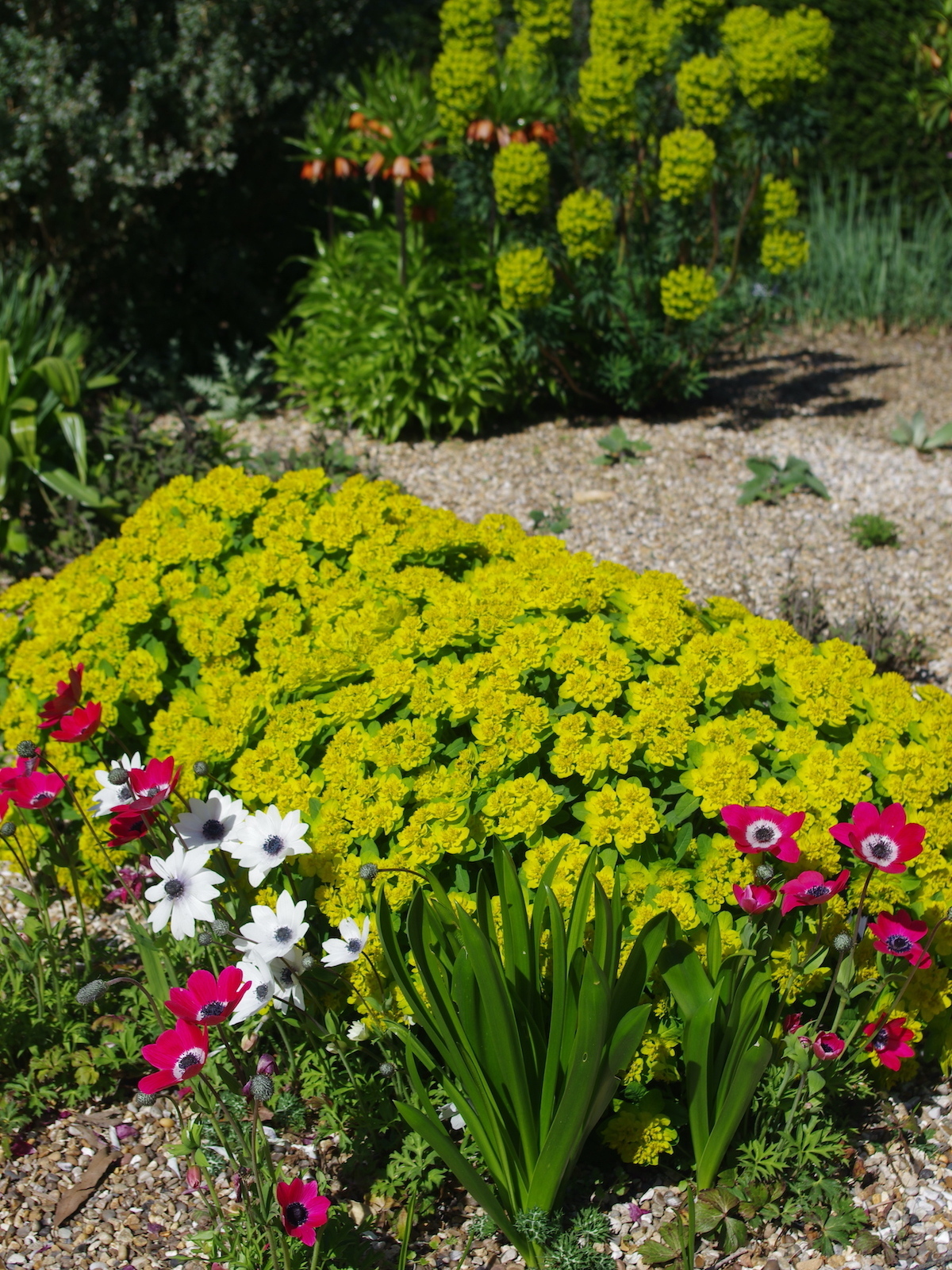 BALC Rockfield Manor "Garden of the Senses" Clean-up - Bel Air Lions Club